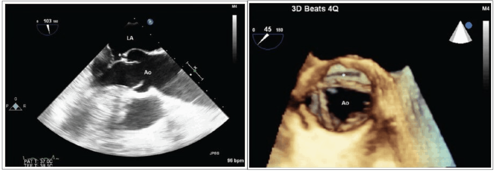 Já ouviu falar em “RAC Sign”? - Blog Ecope