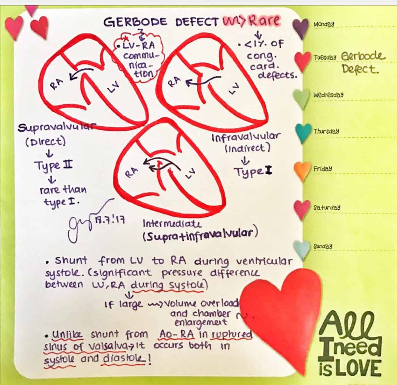 Defeito de Gerbode: Aspectos Ecocardiográficos. - Blog Ecope