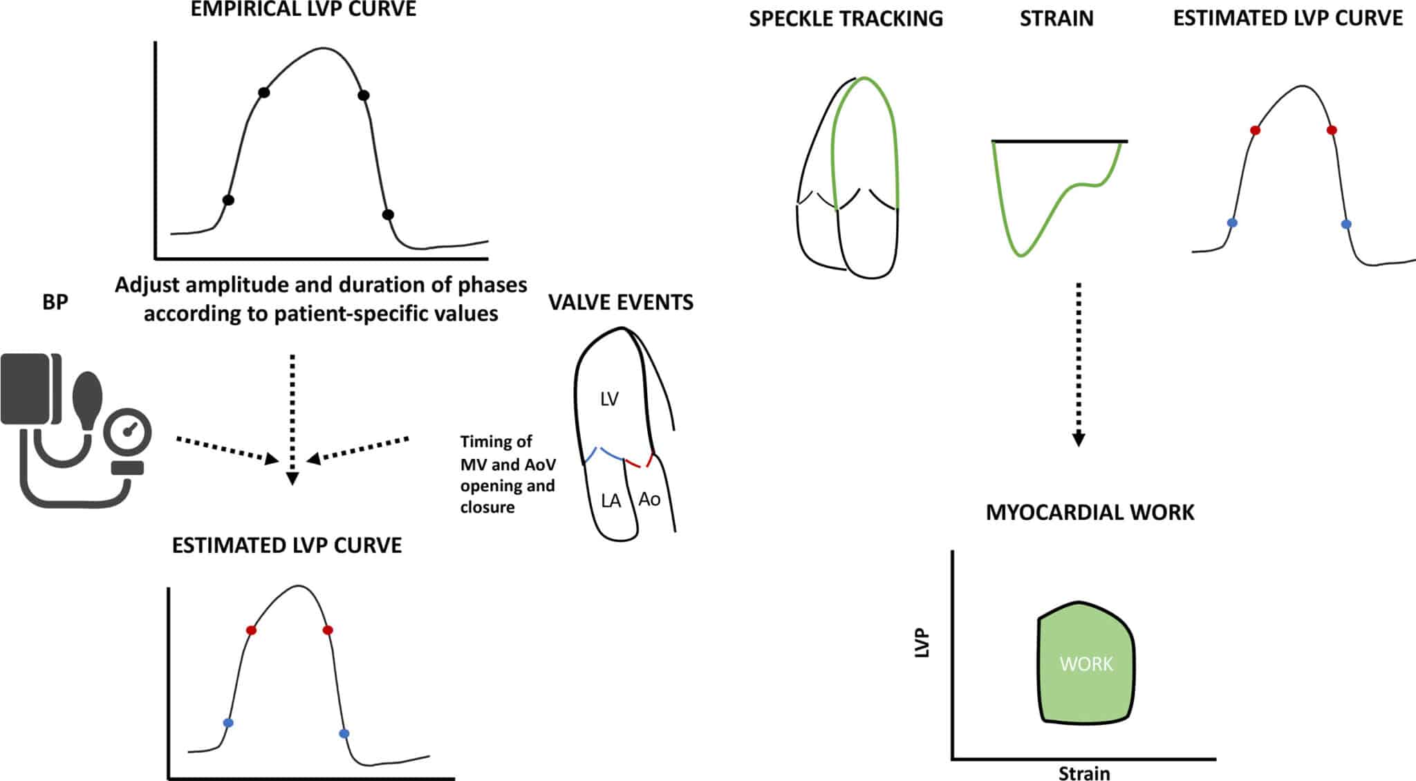 MYOCARDIAL WORK ( TRABALHO MIOCÁRDICO – MW ) - Blog Ecope
