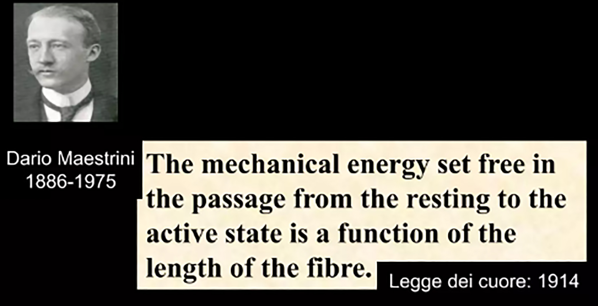 CURIOSIDADES SOBRE FISIOLOGIA CARDÍACA. CONHECE O EFEITO ANREP? - Blog ...